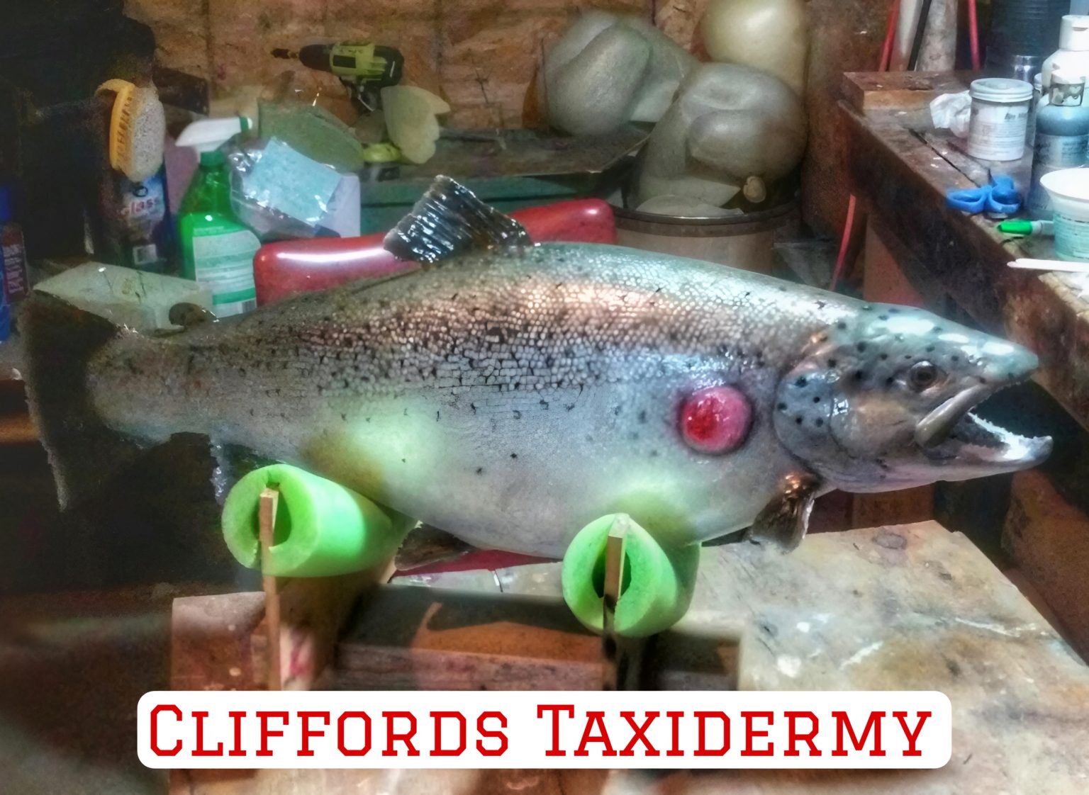 Reproduction Fish Mounts - Cliffords Taxidermy